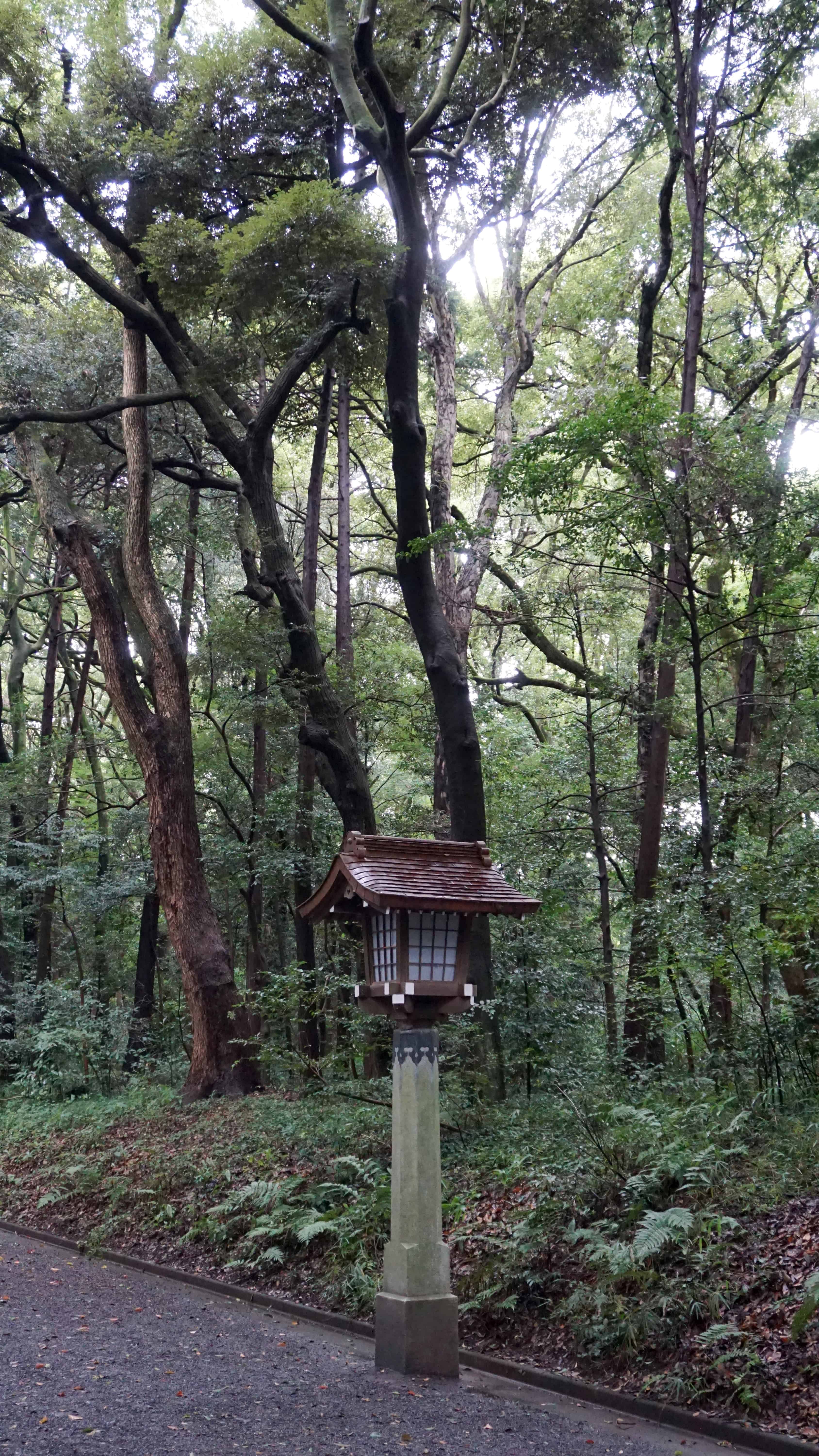 Meiji Jingu Shrine - Adventure Patches